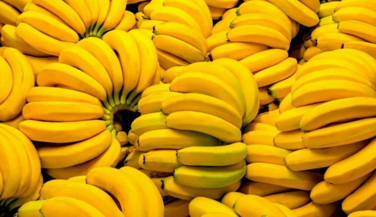 Mercado de banana no Brasil - MF Magazine
