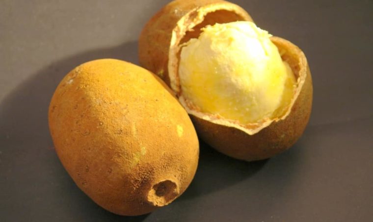 Frutas exóticas encontradas no Brasil: conheça essas raridades - MF ...