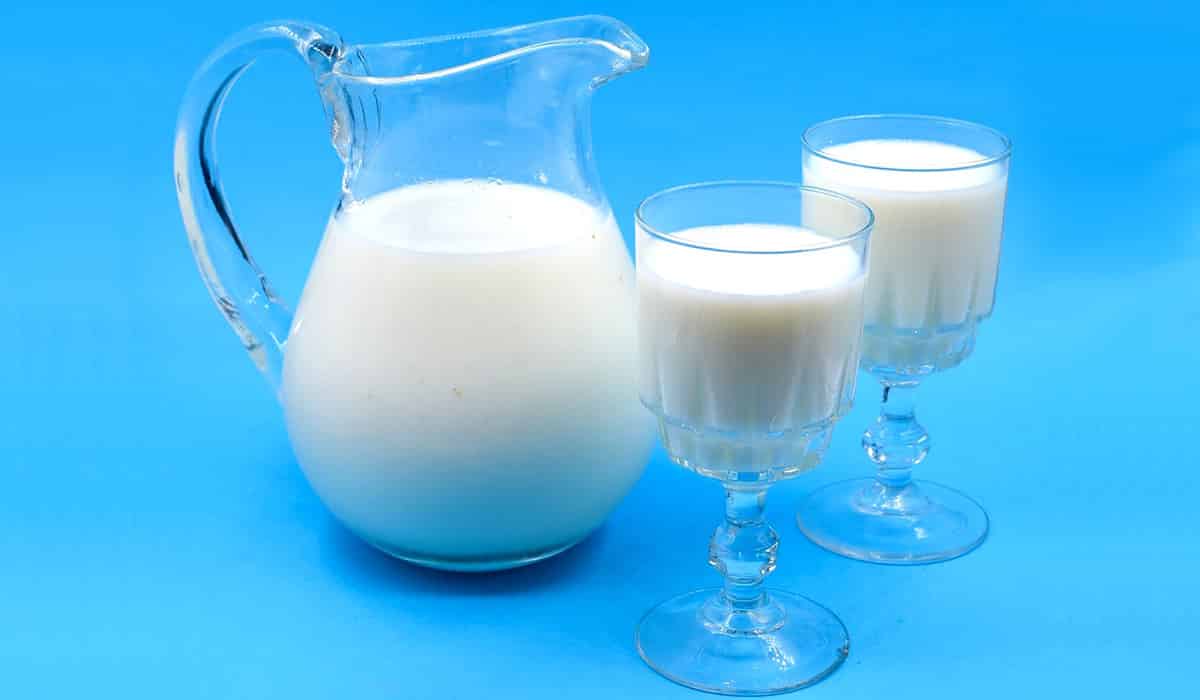 Leite: fonte de nutrição e prazer à mesa - MF Magazine