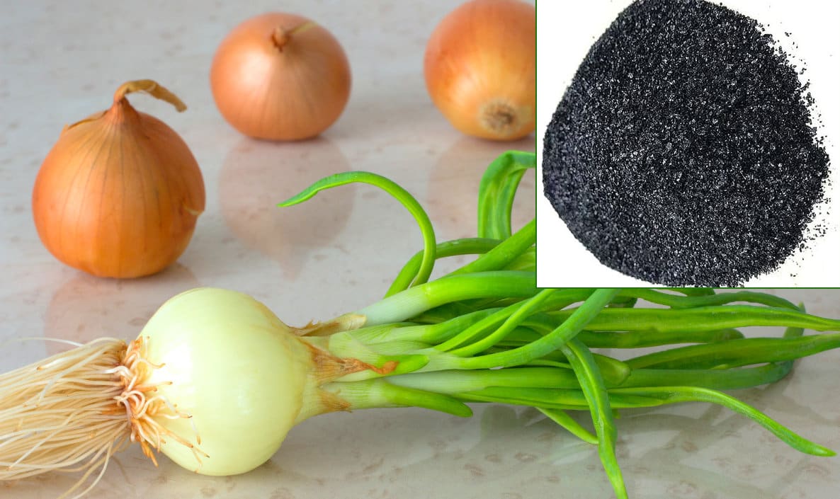 Ácidos húmicos: uma nova perspectiva para agricultura - MF Magazine