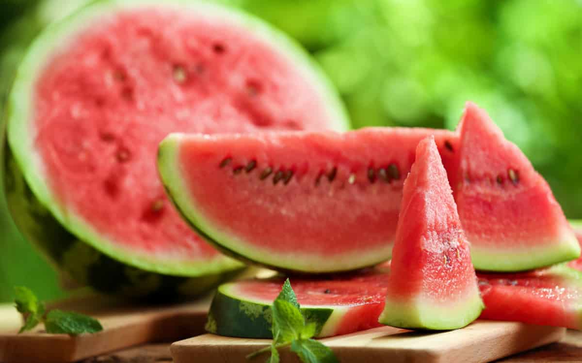 Melancia: confira os tipos que são mais produzidos - MF Magazine