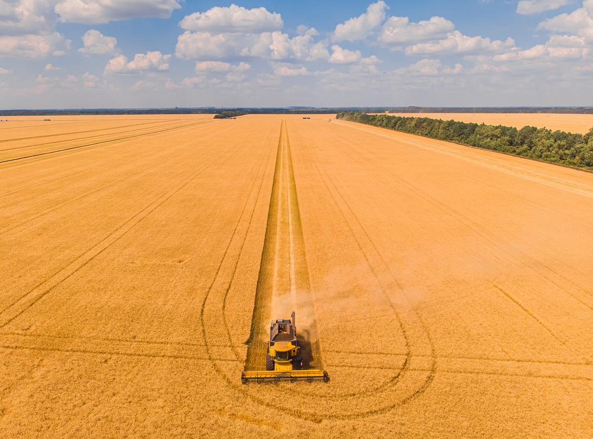 Evolução das colhedoras e sua importância