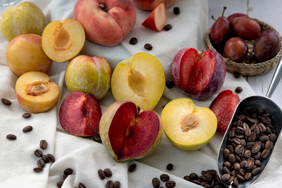 Principais tipos de ameixa e seus benefícios