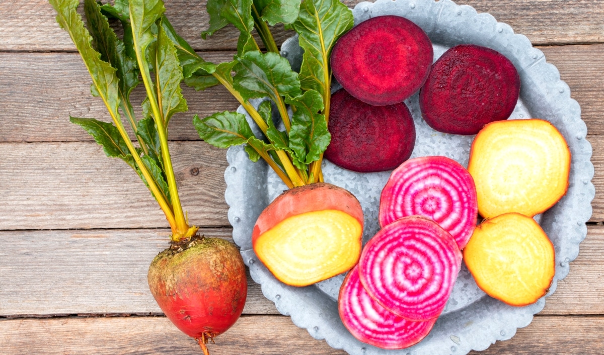 Beterraba: conheça tipos, benefícios