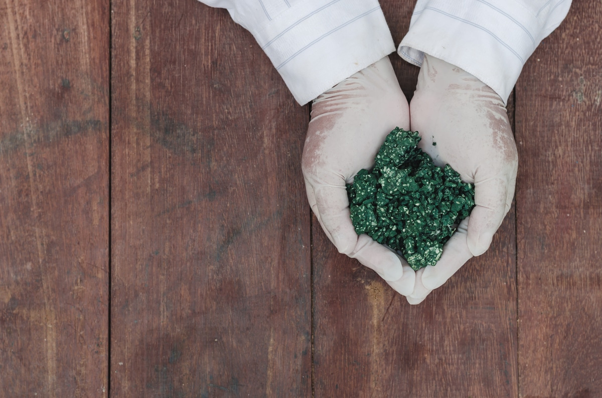 Saiba sobre utilização de Trichoderma no controle biológico