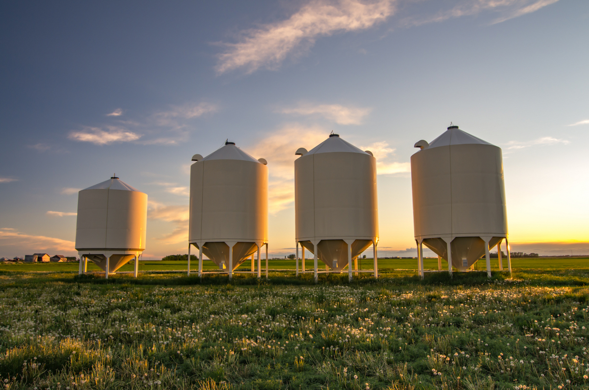 Mortes em silos: alternativas para evitar acidentes - MF Magazine